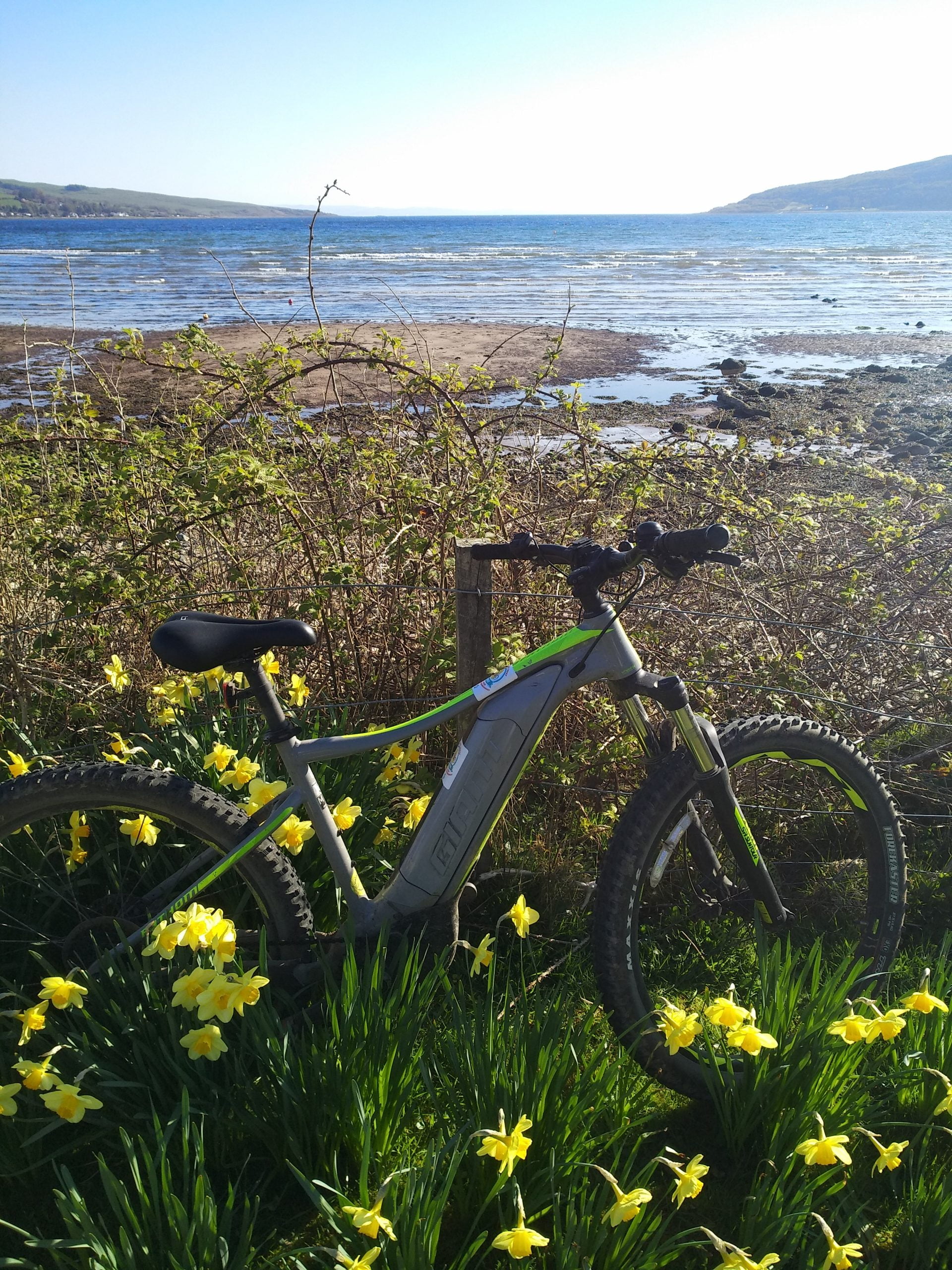 Cycle Buddy Scheme : Arran Eco Savvy Community